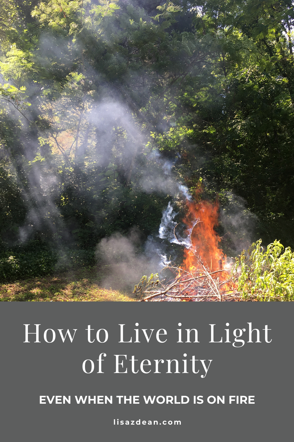 How To Live In Light Of Eternity - lisa z dean