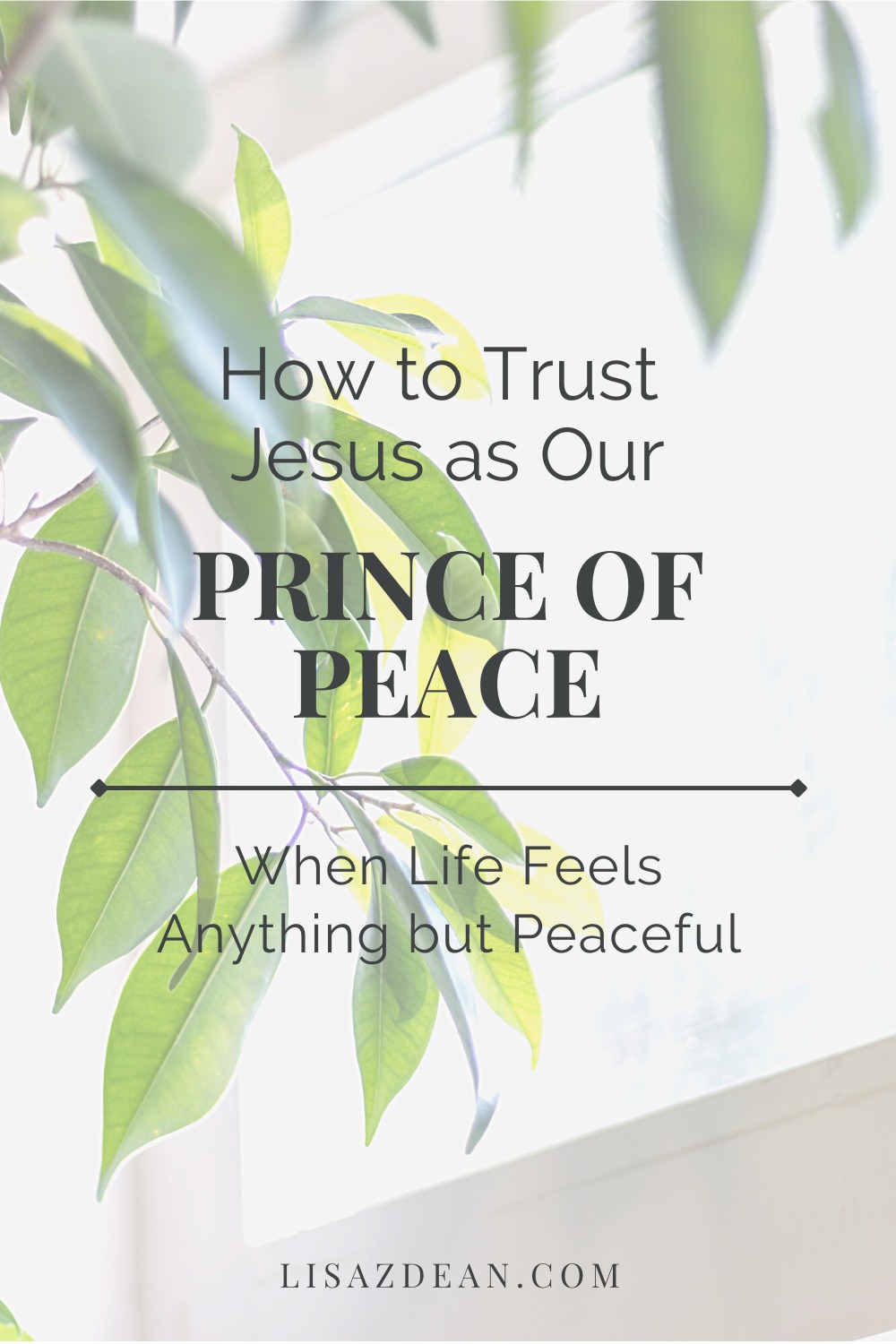 Jesus Is Our Prince of Peace Even When Life Feels Anything but Peaceful ...